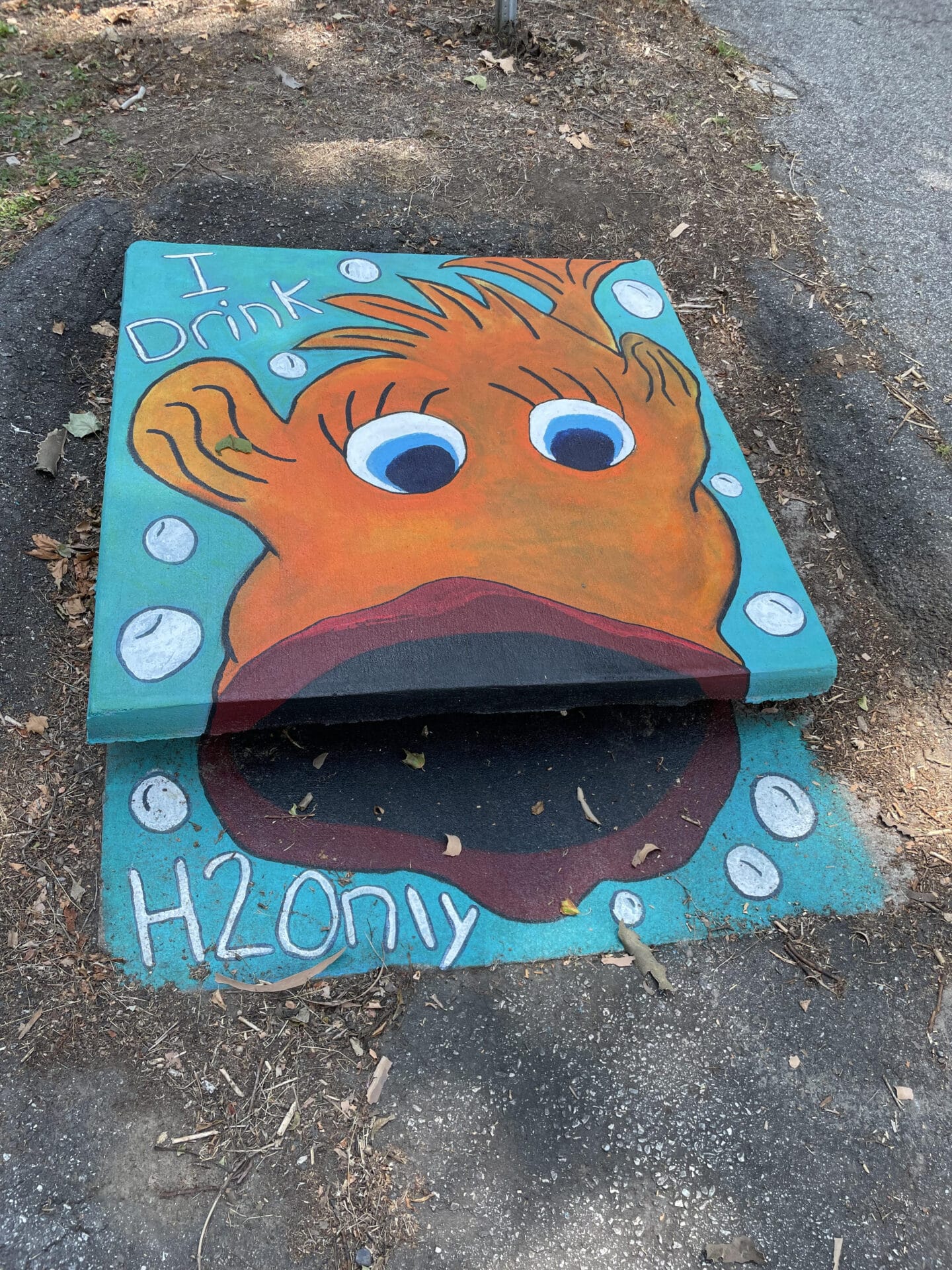 Uptown Connection Spur Trail Storm Drain Mural - Martinsville Tourism