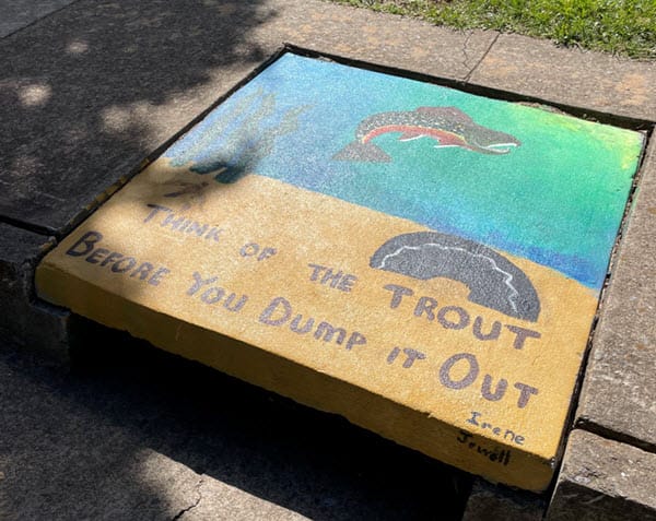 Think of the Trout Before You Dump It Out Storm Drain Mural ...